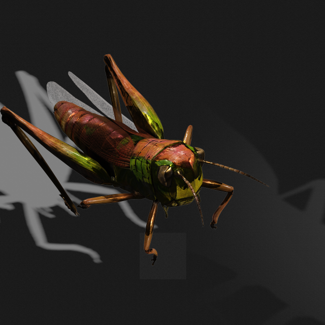 DOWNLOAD GRASSHOPPER 3D MODEL - ANIMATED - INSECT - RAPTOR LINHERAPTOR ...