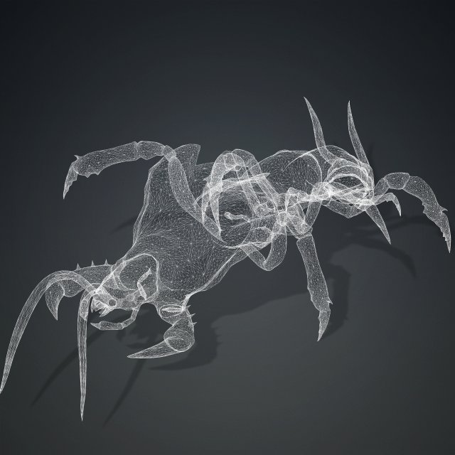 CENTIPEDE INSECT CENTIPEDE - DOWNLOAD CENTIPEDE 3D MODEL ANIMATED - FOR ...