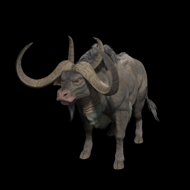 DOWNLOAD BUFFALO 3D MODEL - 3D MODEL ANIMATED - GOAT BULL COW GOAT ...