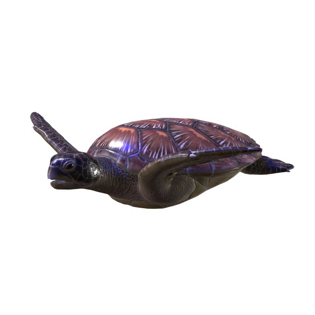 DOWNLOAD TORTOISE TURTLE POKMON TURTLE DOWNLOAD TURTLE 3D MODEL RIGGED ...