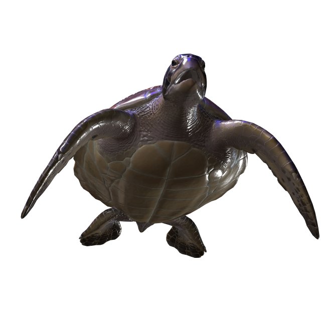 DOWNLOAD TORTOISE TURTLE POKMON TURTLE DOWNLOAD TURTLE 3D MODEL RIGGED ...
