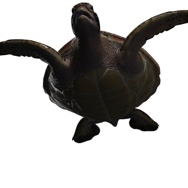 DOWNLOAD TORTOISE TURTLE POKMON TURTLE DOWNLOAD TURTLE 3D MODEL RIGGED ...
