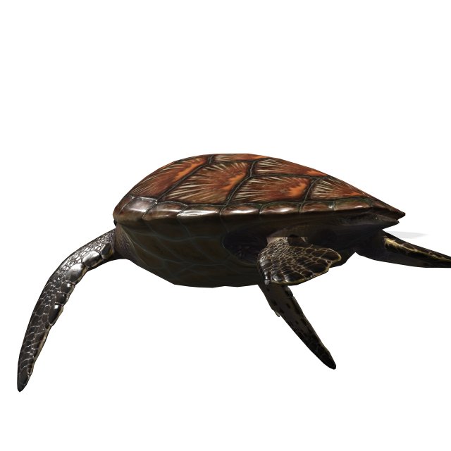 DOWNLOAD TORTOISE TURTLE POKMON TURTLE DOWNLOAD TURTLE 3D MODEL RIGGED ...