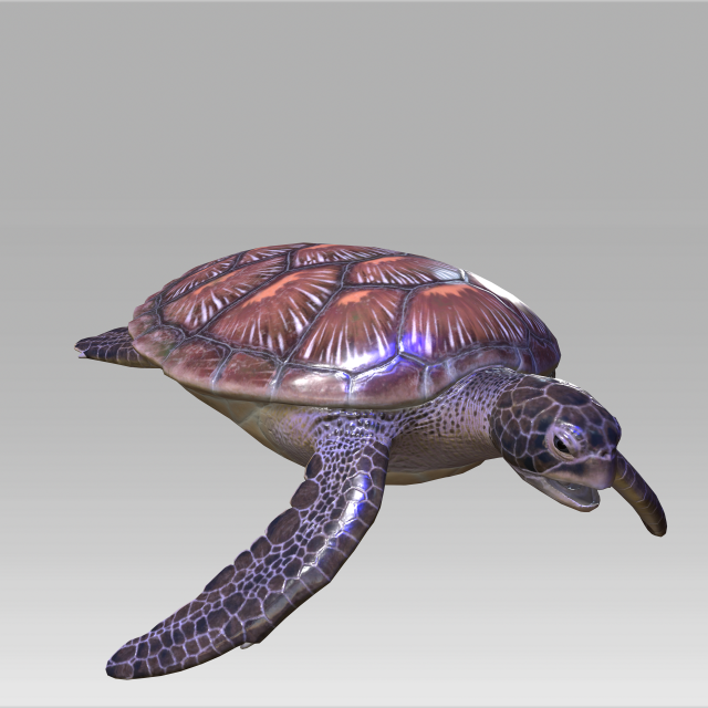 DOWNLOAD TORTOISE TURTLE POKMON TURTLE DOWNLOAD TURTLE 3D MODEL RIGGED ...
