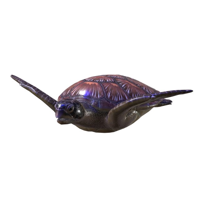 DOWNLOAD TORTOISE TURTLE POKMON TURTLE DOWNLOAD TURTLE 3D MODEL RIGGED ...