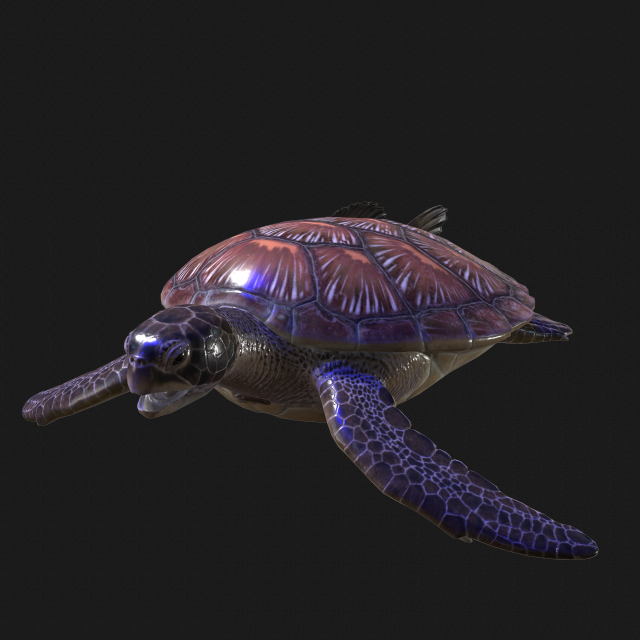DOWNLOAD TORTOISE TURTLE POKMON TURTLE DOWNLOAD TURTLE 3D MODEL RIGGED ...