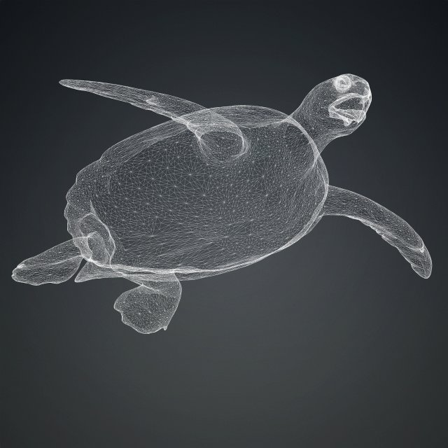 DOWNLOAD TORTOISE TURTLE POKMON TURTLE DOWNLOAD TURTLE 3D MODEL RIGGED ...