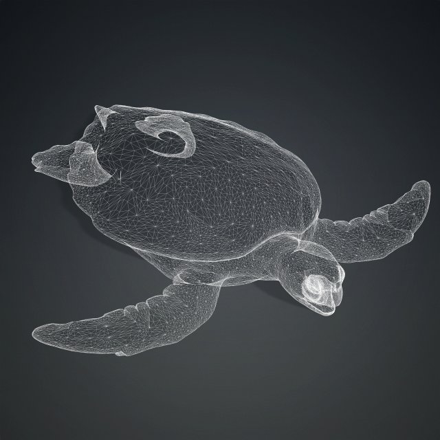 DOWNLOAD TORTOISE TURTLE POKMON TURTLE DOWNLOAD TURTLE 3D MODEL RIGGED ...