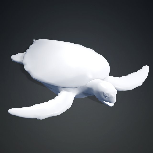 DOWNLOAD TORTOISE TURTLE POKMON TURTLE DOWNLOAD TURTLE 3D MODEL RIGGED ...
