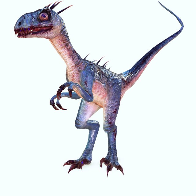 DOWNLOAD RAPTOR 3D MODEL RAPTOR ANIMATED - RAPTOR RAPTOR DINOSAUR ...
