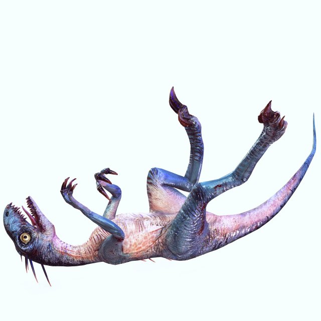 DOWNLOAD RAPTOR 3D MODEL RAPTOR ANIMATED - RAPTOR RAPTOR DINOSAUR ...