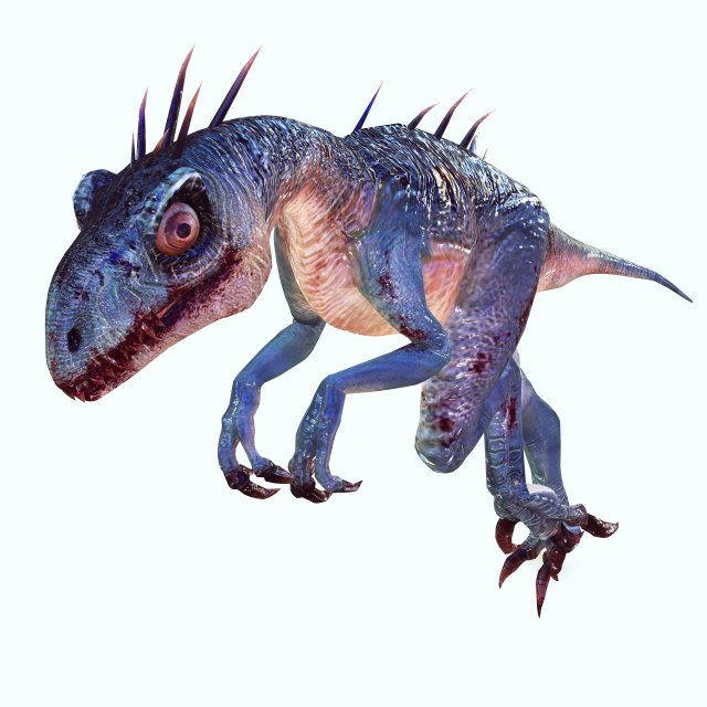 DOWNLOAD RAPTOR 3D MODEL RAPTOR ANIMATED - RAPTOR RAPTOR DINOSAUR ...