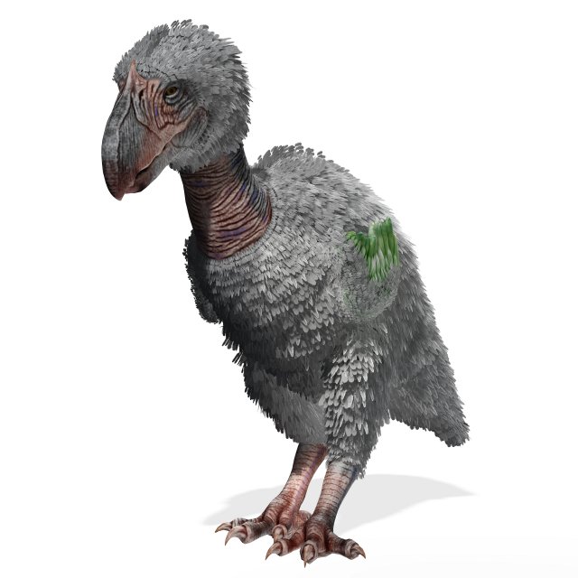 BIRD OF PREY TERROR HORROR DEMON DEVIL RAPTOR DINOSAUR WINGS FLYING ...