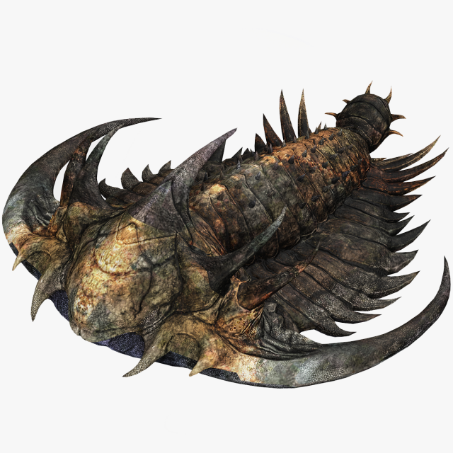 TRILOBITE DINOSAUR DOWNLOAD TRILOBITE 3D MODEL TRILOBITE BEETLE ...