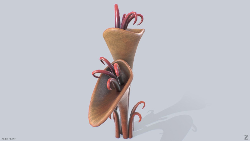 Alien plant 3D Model in Small Plants 3DExport