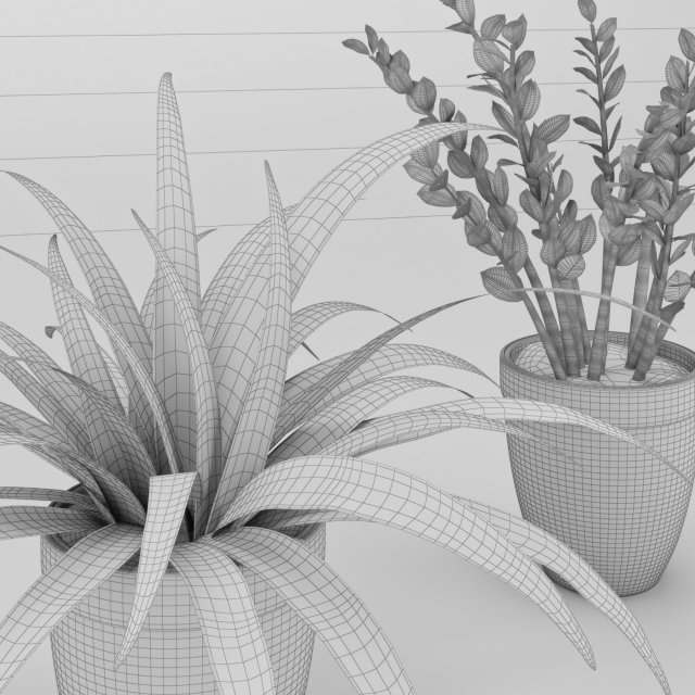plant collection 9 3D Model in Small Plants 3DExport