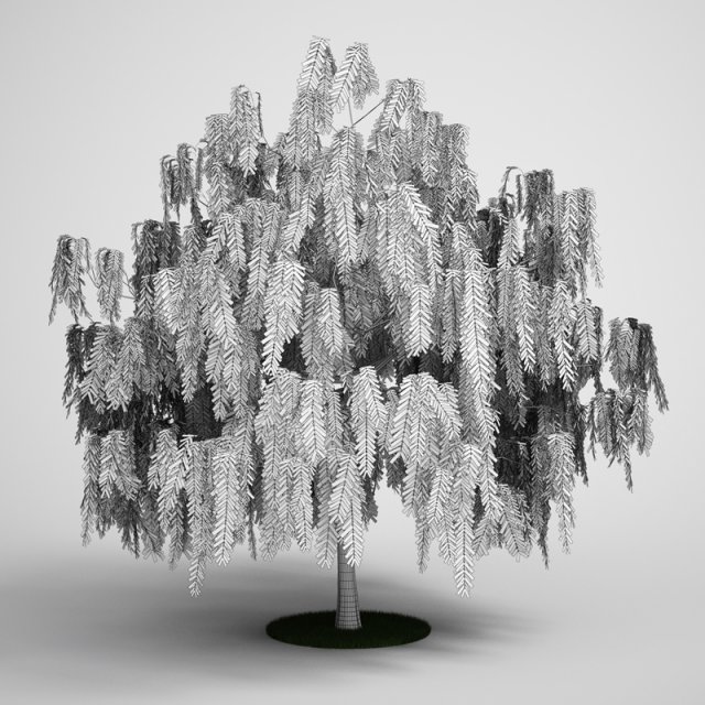 Willow Tree 3D Model in Tree 3DExport