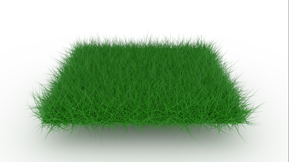 Grass 3D Models in Grass and Ground Cover 3DExport