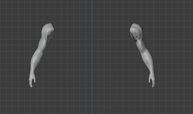 ARMS 3D MODEL - AR - VR - GAME READY 3D Model in Anatomy 3DExport