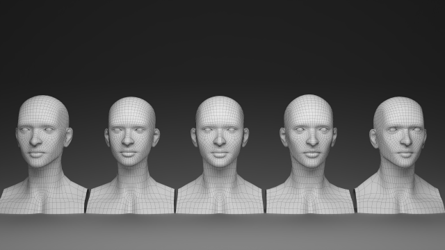 Stylized Head Female Basemesh 3D Model in Woman 3DExport