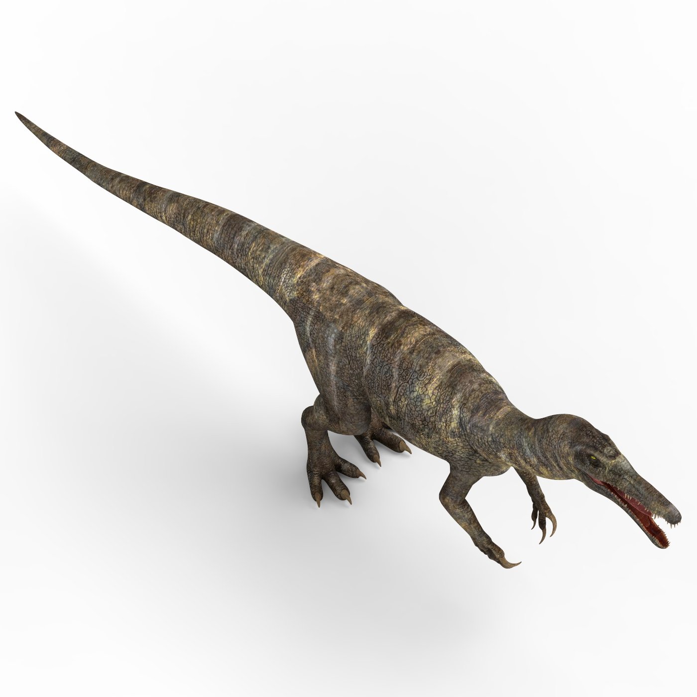 Baryonyx Dinosaur 3D Model in Dinosaur 3DExport