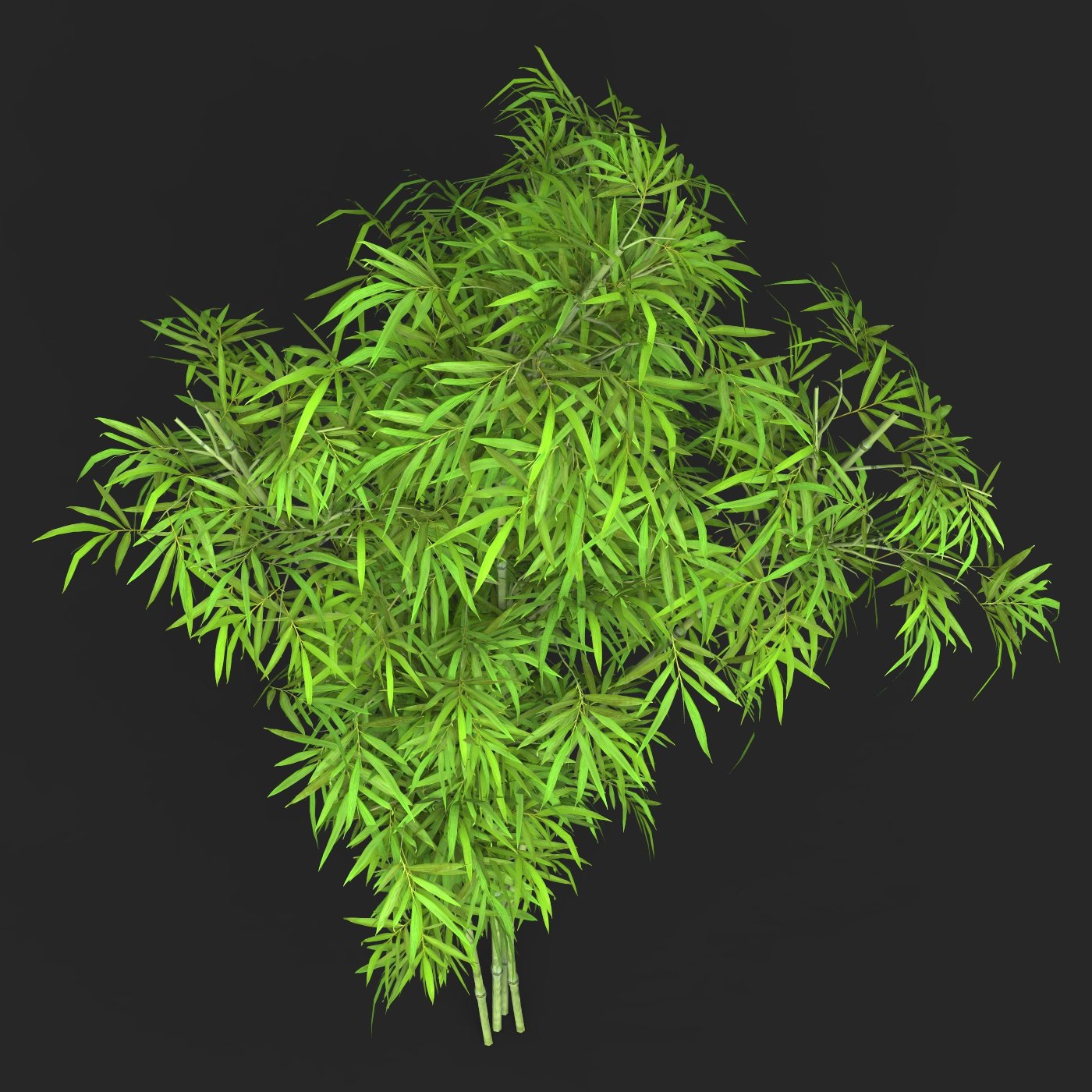 Realistic Game Ready Bamboo Tree 11 3D Models in Tree 3DExport