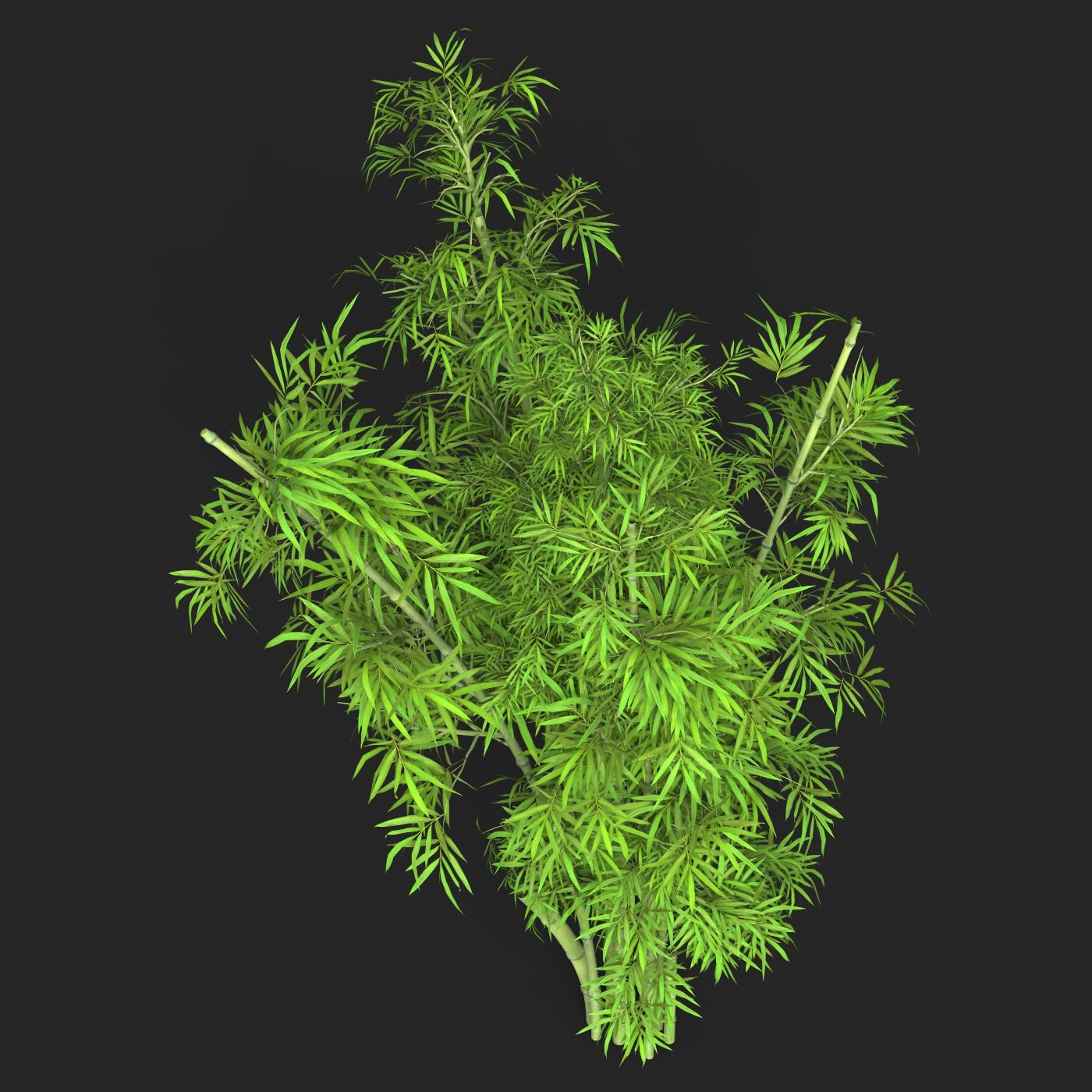 Realistic Game Ready Bamboo Tree 14 3D Models in Tree 3DExport