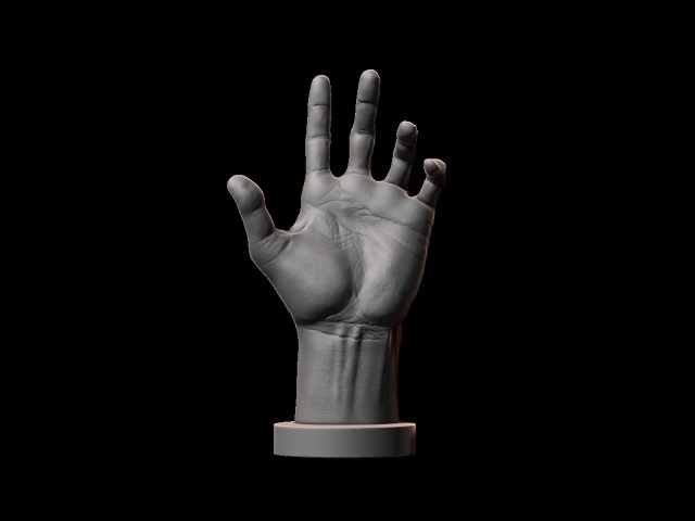 hand model for artists reference 3D Print Model in Anatomy 3DExport