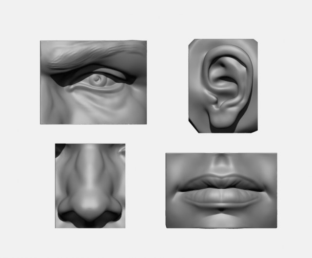 anatomy pack - face parts 3D Print Model in Anatomy 3DExport
