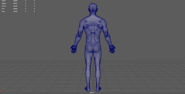anatomically correct muscular male body low and high poly low-poly ...
