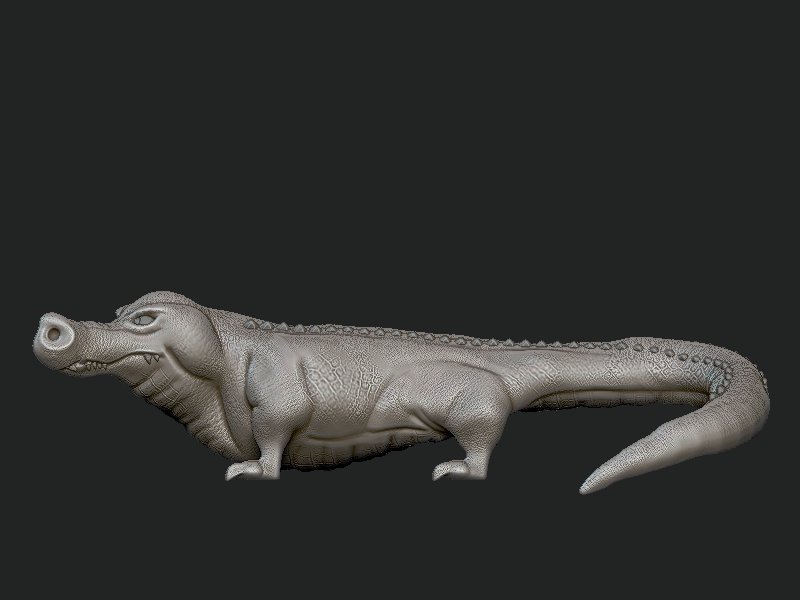 croco 3D Print Models in Animals 3DExport