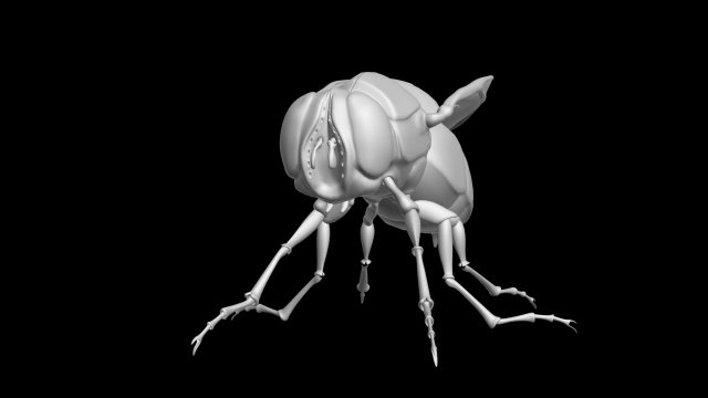 Fly insect 3D Model in Insects 3DExport