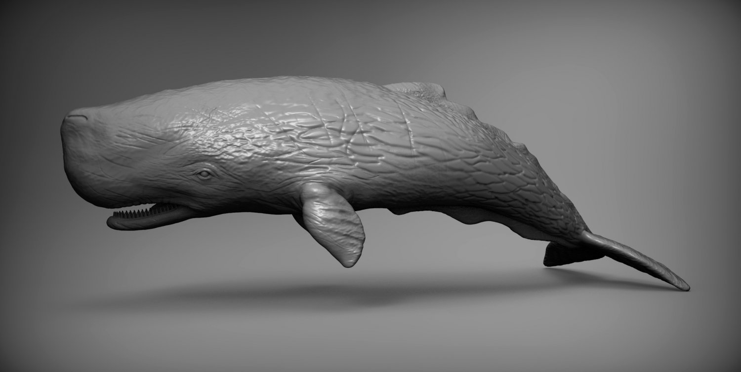 sperm whale 3D Print Models in Sculpture 3DExport