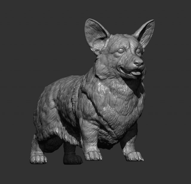 corgi 3d print model 3D Print Model in Animals 3DExport
