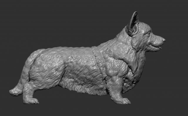corgi 3d print model 3D Print Model in Animals 3DExport