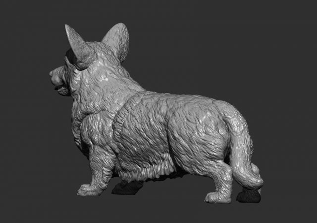 corgi 3d print model 3D Print Model in Animals 3DExport