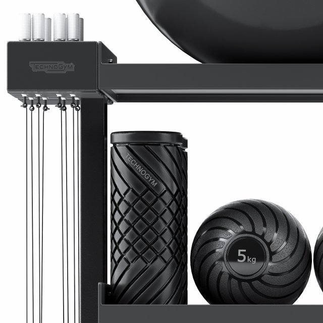 fitness set technogym skilltools kit Modelo 3D in Equipación Deportiva ...