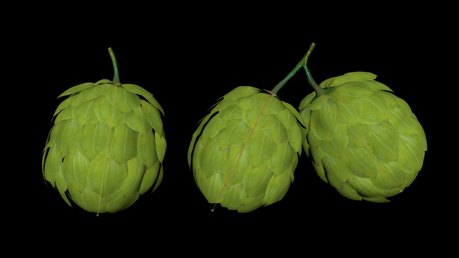 hops hernb animation loop handle realistic 3D Models in Small Plants ...