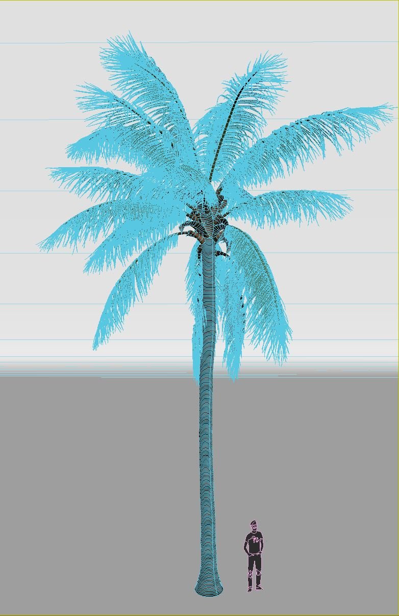 coconut tree 02 - visualworks store - vray and corona 3D Model in Tree ...