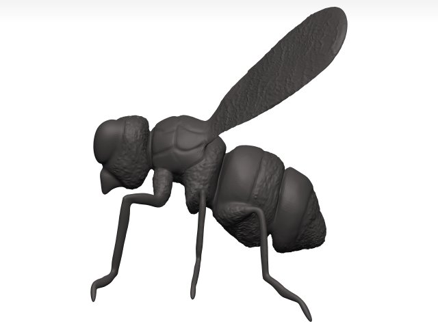 Fly 3D Model in Insects 3DExport