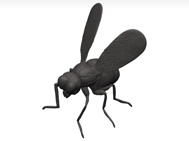 Fly 3D Model in Insects 3DExport