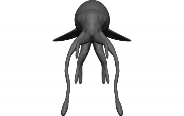 Squid 3D Model in Aquatic 3DExport