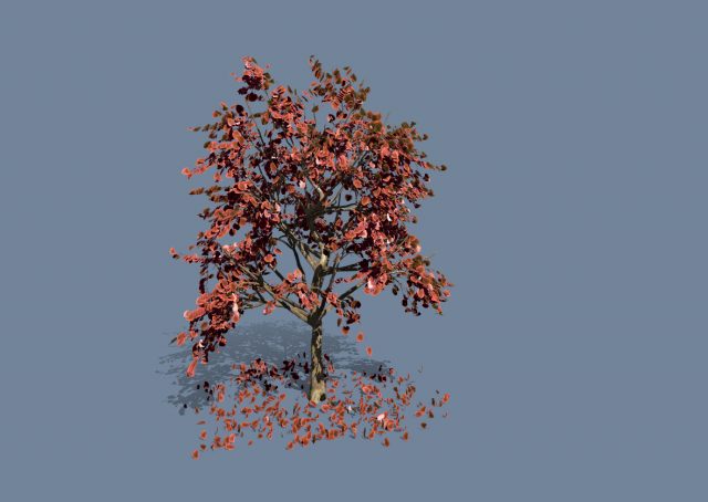 bark 3D Model in Tree 3DExport