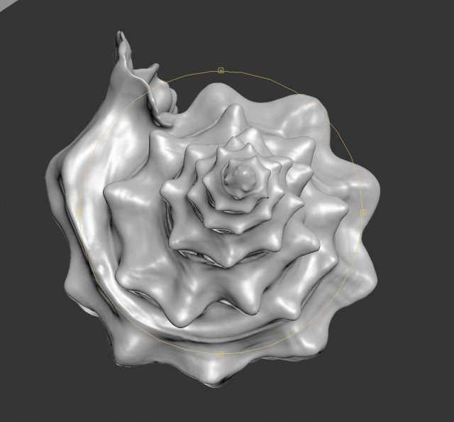 shell 3D Model in Aquatic 3DExport