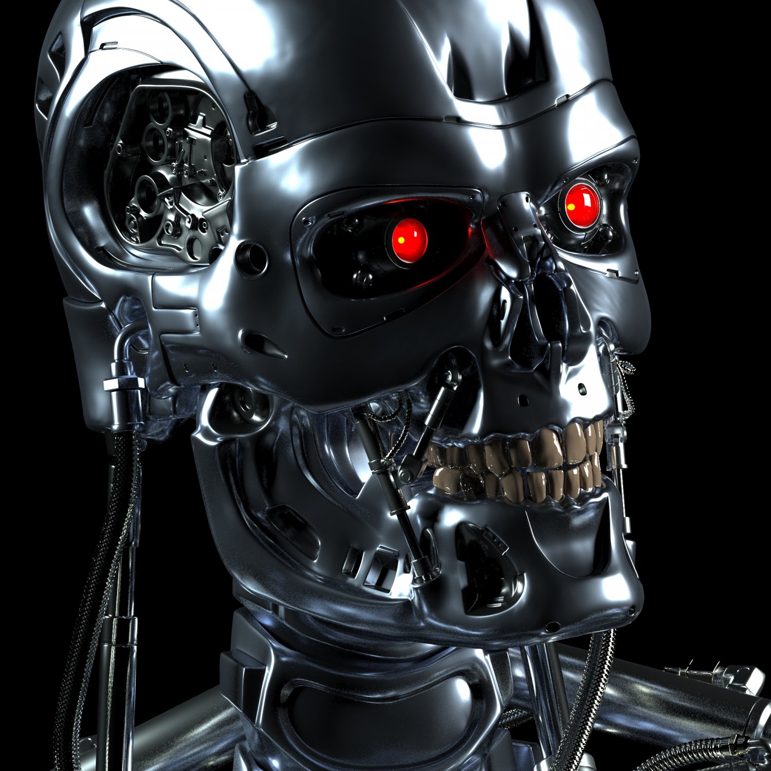 Terminator Endoskeleton Skull