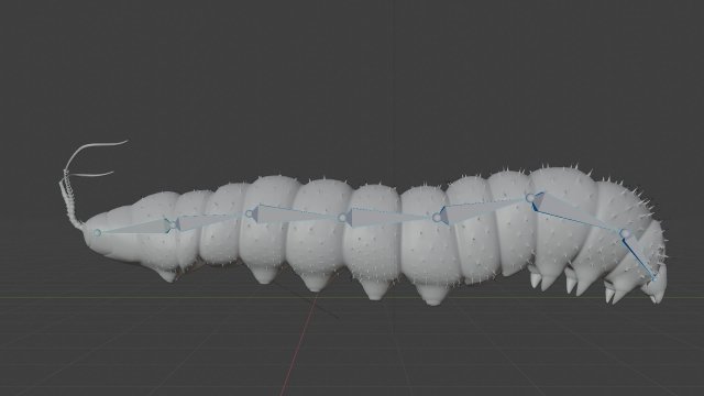 rigged silkworm silk worm caterpillar 3D Model in Other 3DExport