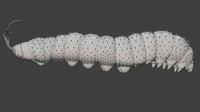 rigged silkworm silk worm caterpillar 3D Model in Other 3DExport