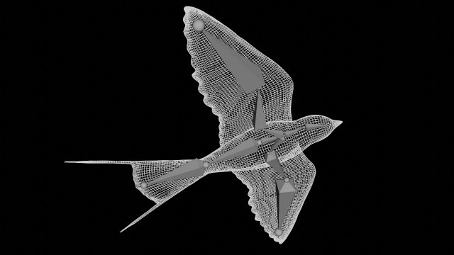 swallow bird rigged 3D Model in Bird 3DExport