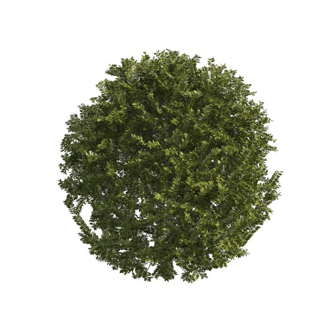 4 shaped topiary plant 3D Model in Bush 3DExport