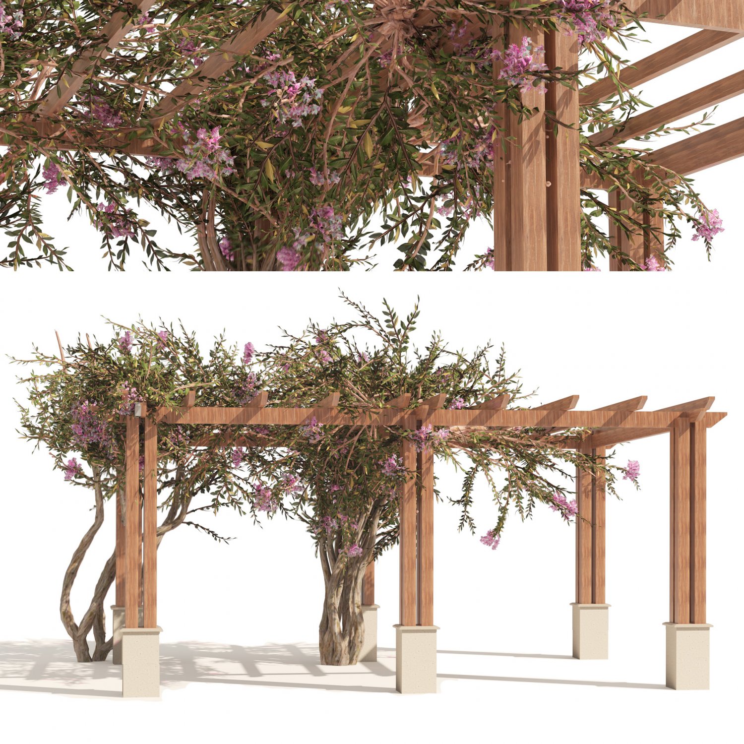 Crape myrtle pergola 3D Models in Environment 3DExport
